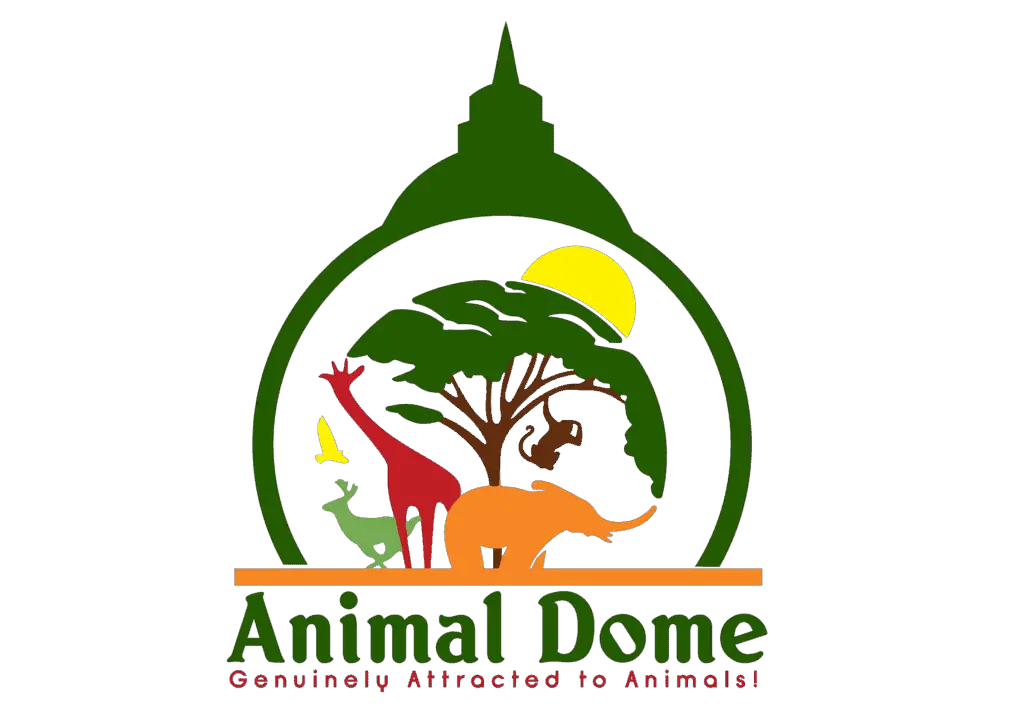 Why Do Lobsters Have Two Different Claws? The Truth – Animal Dome