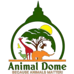 13 Animals That Can't Feel Pain (With Other Facts!) - Animal Dome