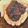 10 Animals With Blue Blood - Animal Dome