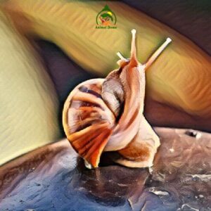 10 Animals With Blue Blood - Animal Dome