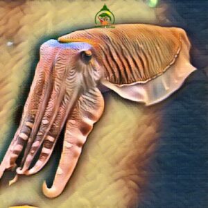 10 Animals With Blue Blood - Animal Dome