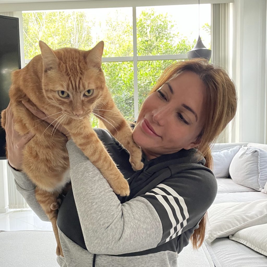 About Us - Animal Dome